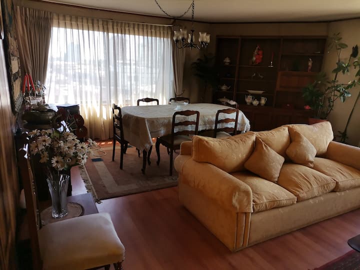 En Pleno Centro De Temuco Pieza Privada En Depto - Temuco