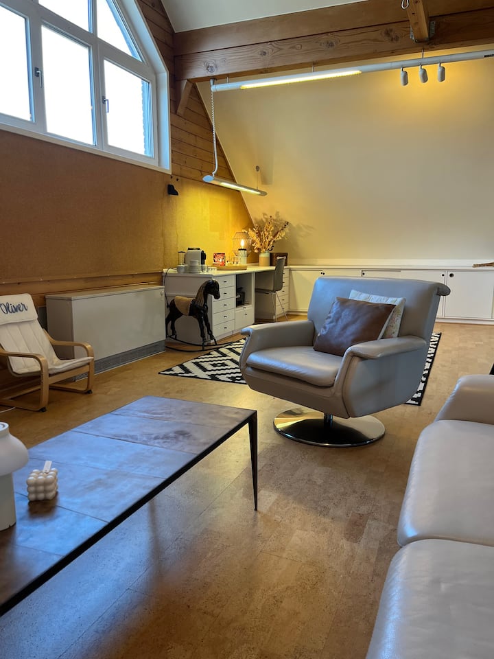 Uitzonderlijk Ruime Studio Bij Expo, Vives & Kulak - Zwevegem