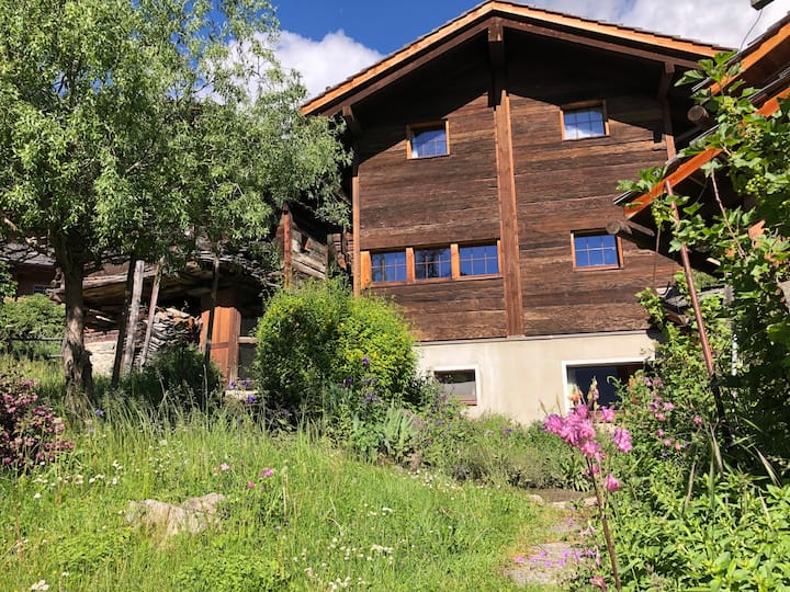 Center Of Grimentz - Grimentz