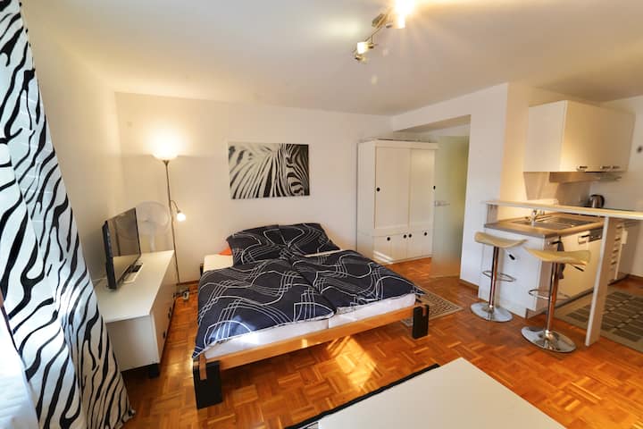 Central Studio Apartment - Stuttgart
