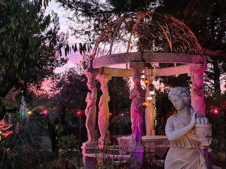 Espectacular Casa De Madera Con Estatuas Y Un Zoo. - Albacete