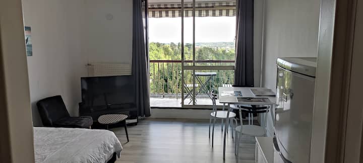 Studio Meublé Proche Beauval - Chenonceaux