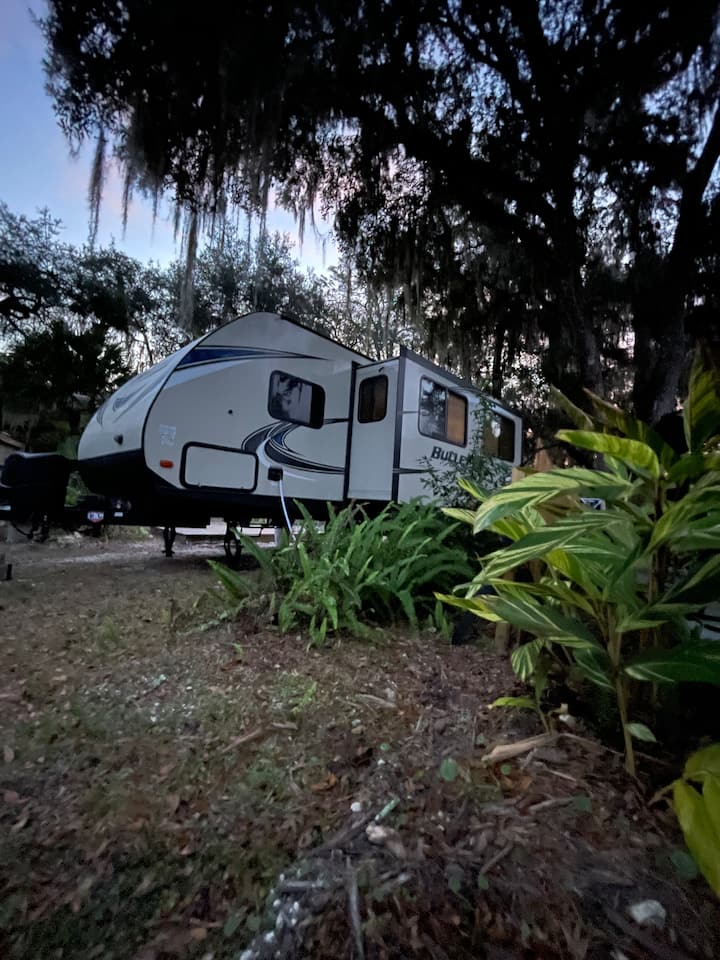 Full Florida Paradise - Keys/mia - Key Largo, FL