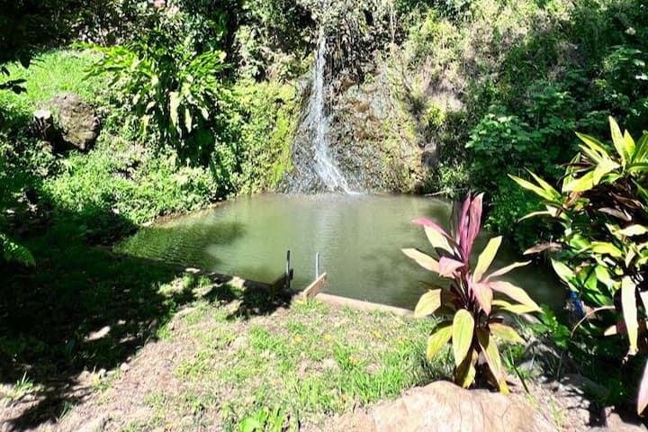 Oasis Nature Et Cascade Privée - French Polynesia