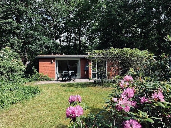 Green Escape Hellendoorn – Rust & Natuur - Raalte