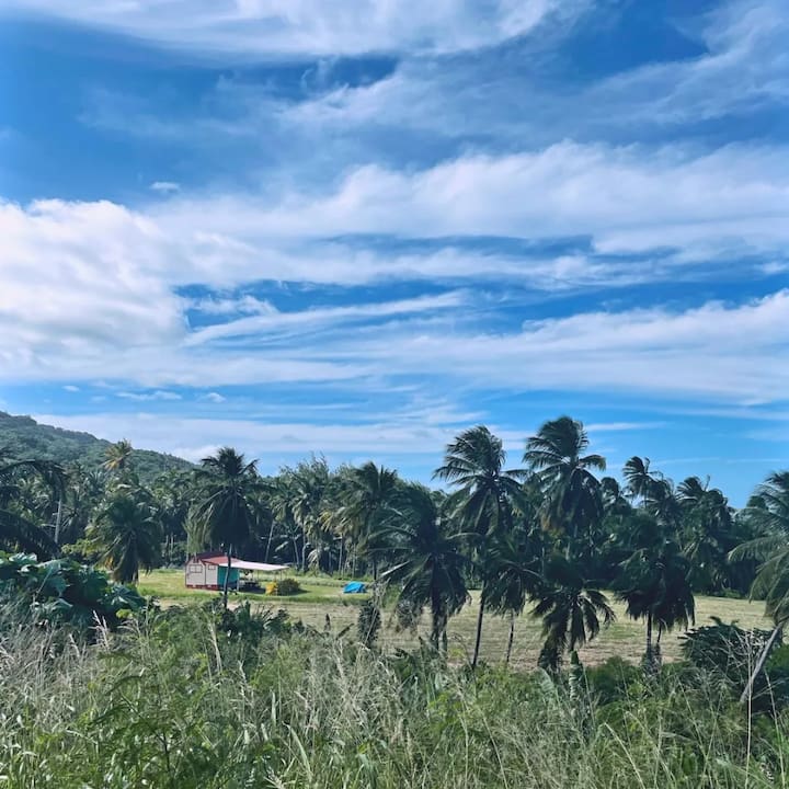 Camping Barbados - Bring Your Own Tent - Groups 2 - Barbados