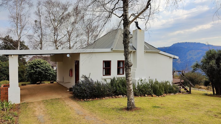 Firefly - Hogsback