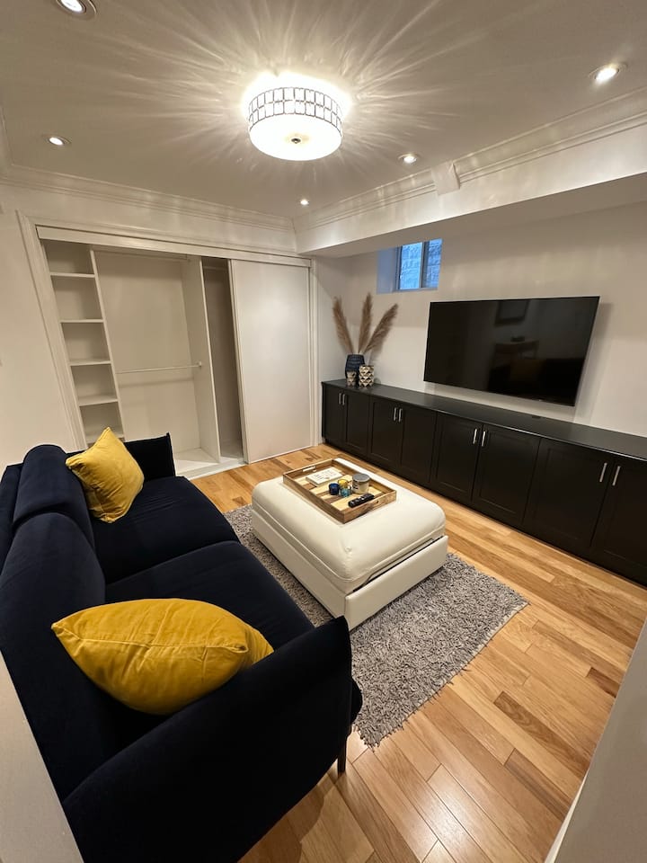 Brand New Luxury Basement Apartment In Forest Hill - Toronto