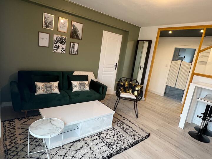 Appartement Lumineux Et Moderne - La Roche-sur-Yon