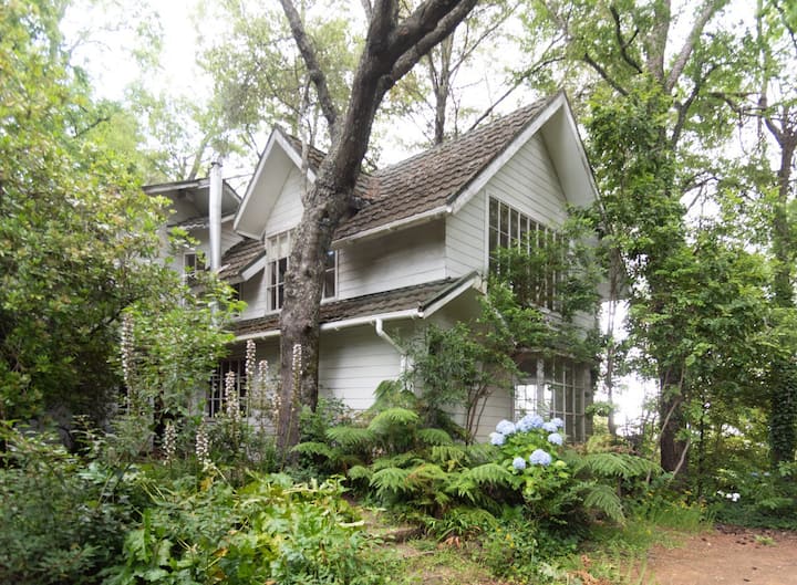 Casa En El Bosque - Pucón