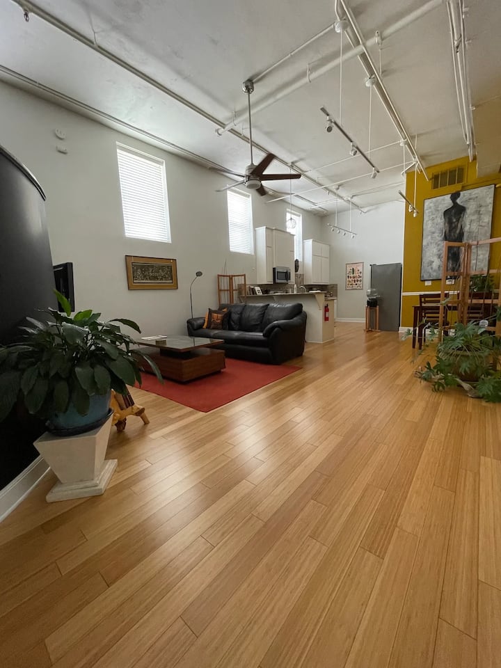 Rooftop Deck Urban Loft - Hot Springs, AR