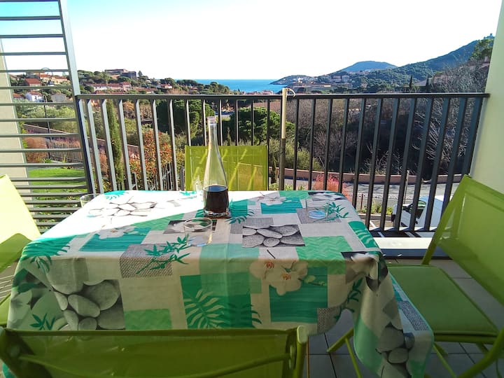Appartement T2 Avec Magnifique Vue  Mer. - Colliure