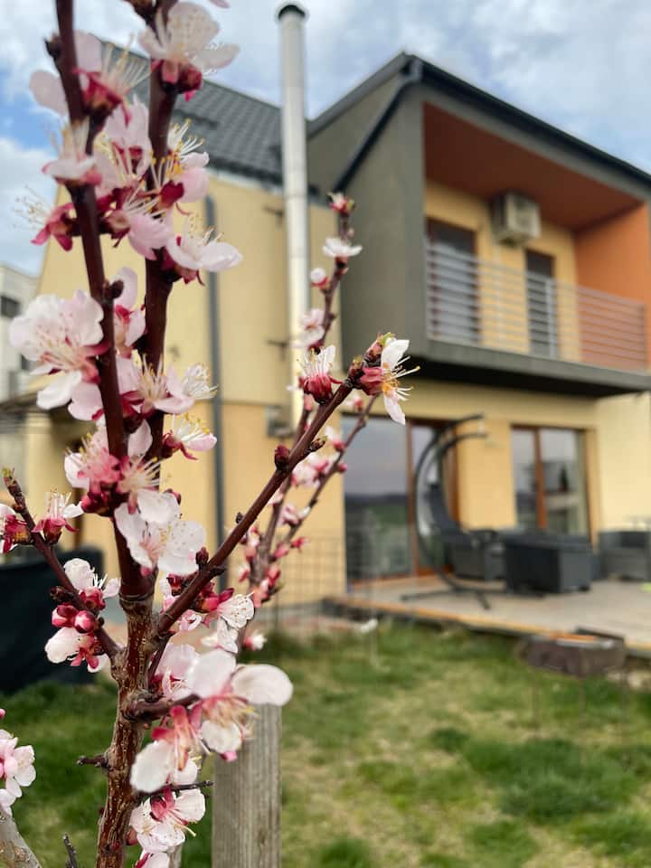 Studio In Hill House - Apahida