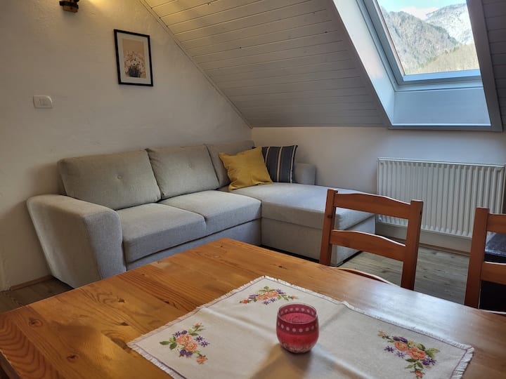 Family Room For 4, Attic, Hostel Bohinj - Tolmin