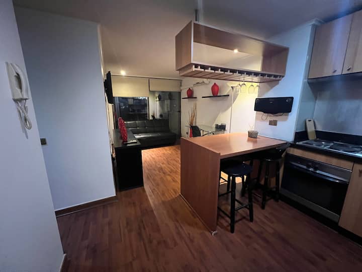 Muy Cómodo Departamento - Providencia