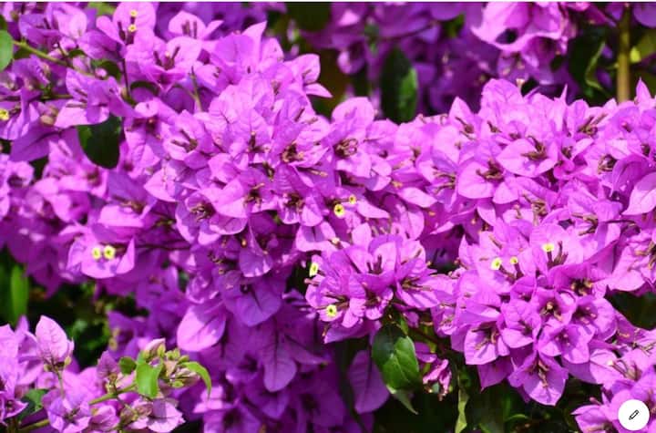 Villa Nena Near Sea - Croatia