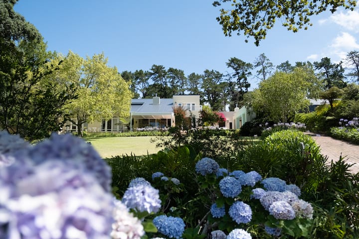 Villa Im Park Mit Tafelbergblick - Claremont