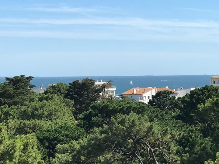 Appartement Avec Vue Sur Les Pins Et La Mer - Plage de La Baule