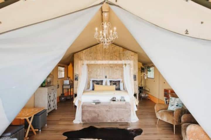 Ten Acre Wood Glamping - Waihi
