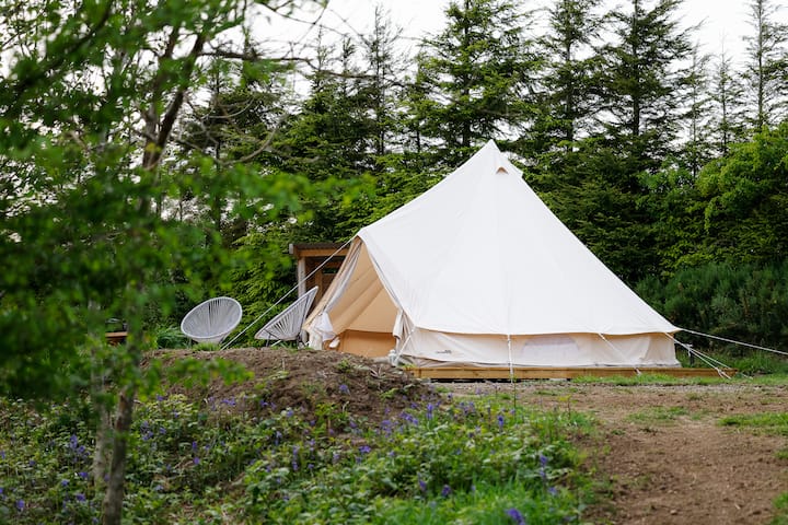 Bell Tent Sleeps Upto 5 People - Pembrokeshire