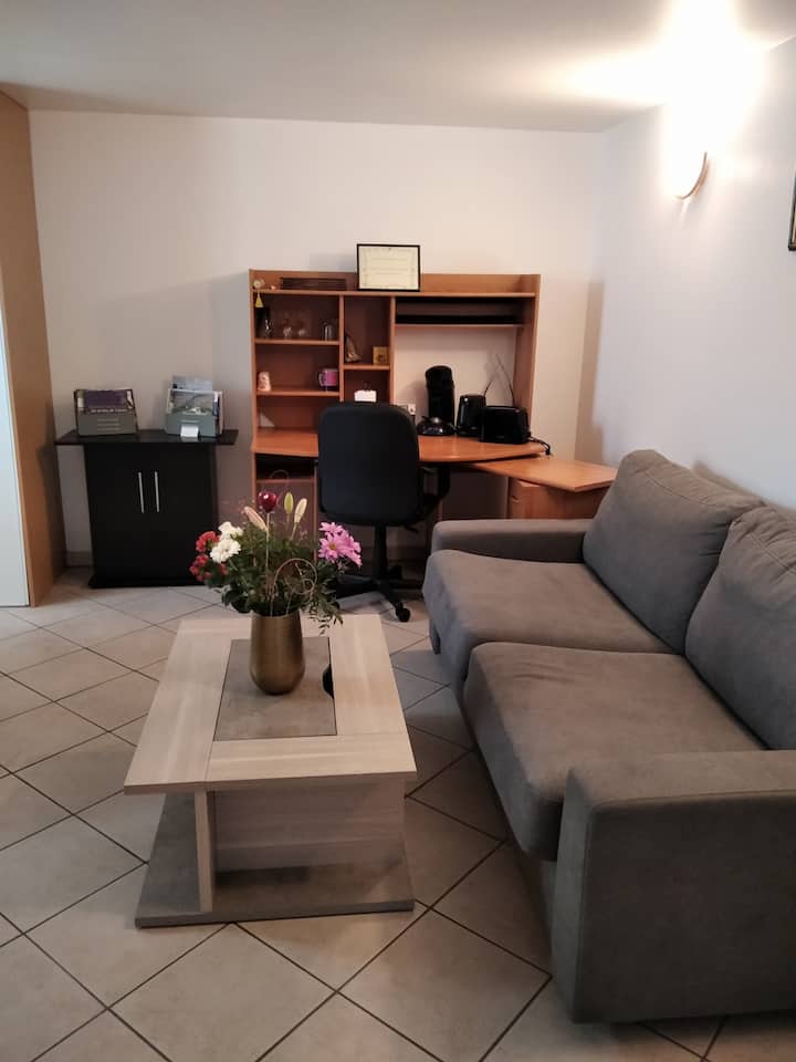 Studio Meublé Indépendant Chez L'habitant - Cahors