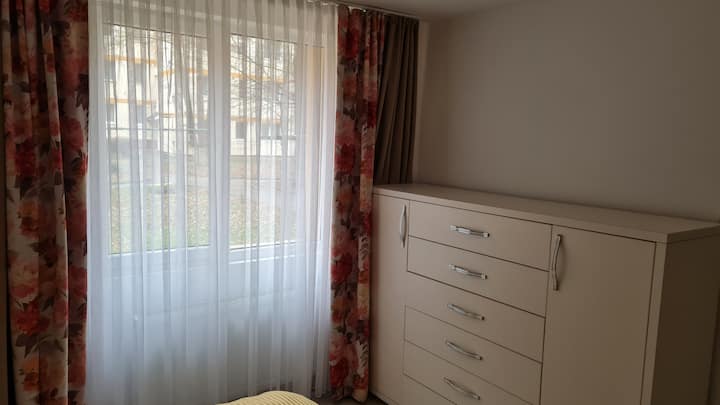 Apartament Violeta - Gura Humorului
