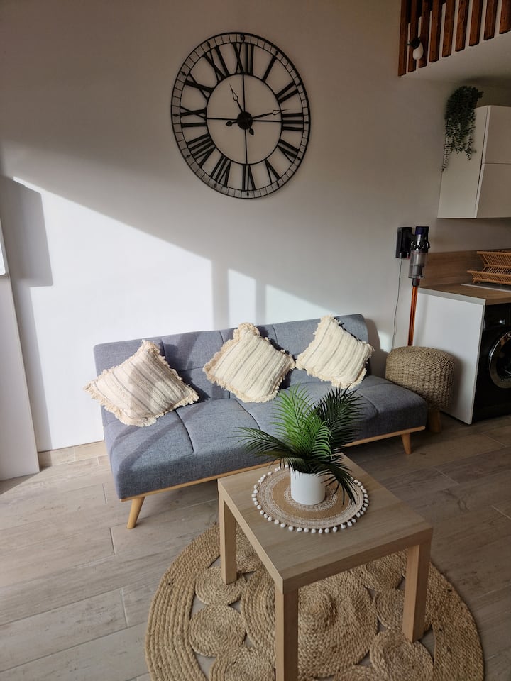 Appartement Pour 4 Avec Terrasse - Jardin Zen d'Erik Borja