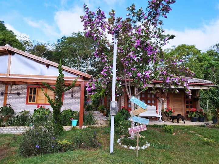 Sitio Com Jaccuzi, Fogão A Lenha - Bahia (estado)