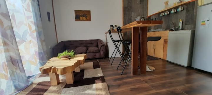 Cabaña Panguipulli Chauquen Raíces Del Sur - Panguipulli