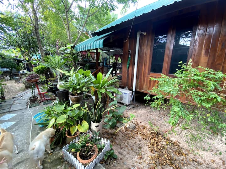Titan's Tiny Teak Guesthouse - Kranuan District