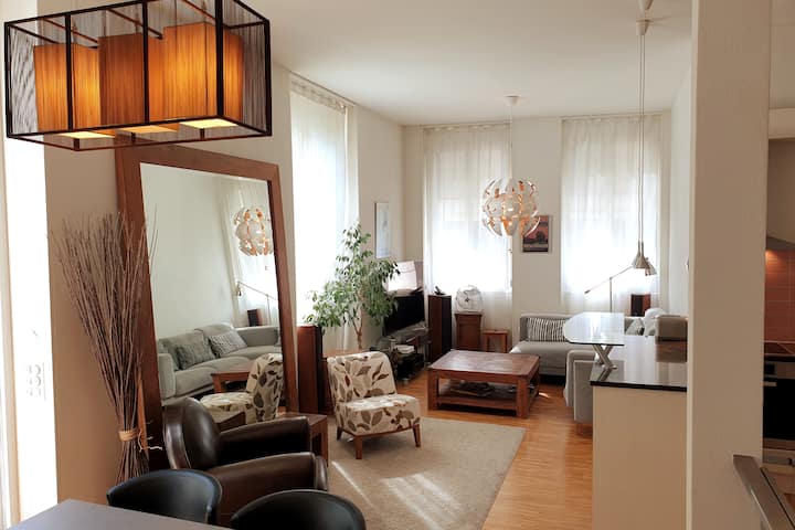 Duplex Loft 136m2 Converted St Jean Watch Factory - Ginebra