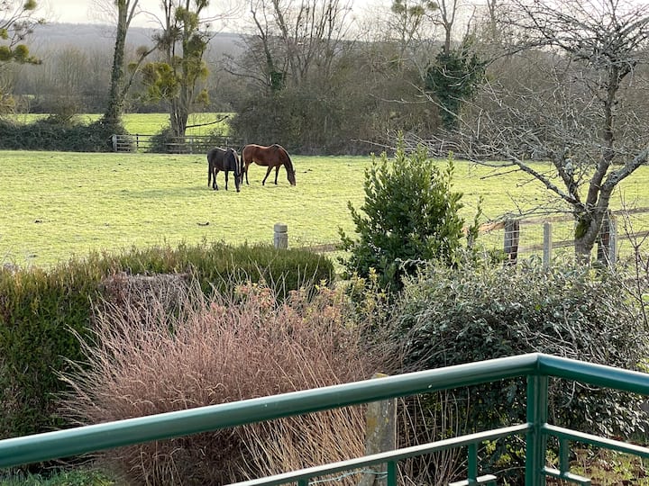 Parc Du Perche - Maison Indépendante 4 Personnes - Nogent-le-Rotrou