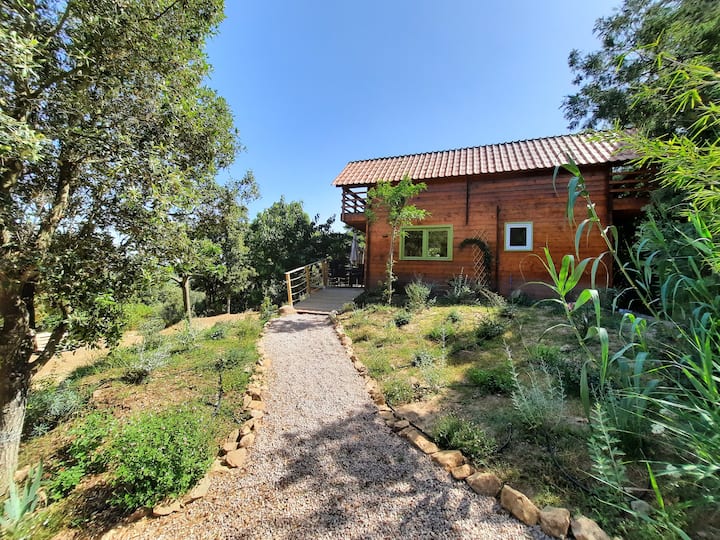 Gîte Châlet Avec Piscine. Venez Vous Ressourcer. - Korsica