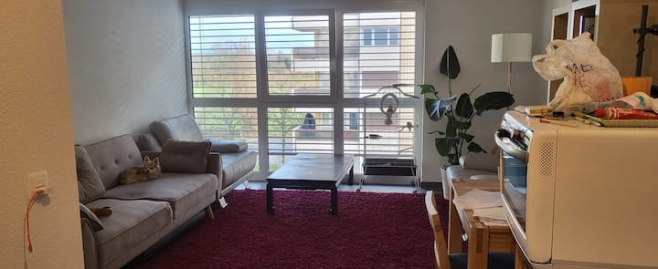 Romantic, Modern Appartement 65m2, Visitor Parking - Aéroport de Genève Cointrin (GVA)