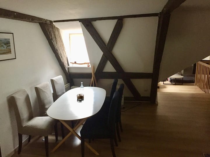 Superbe Appartement Strasbourgeois 17e Siecle - Strasbourg