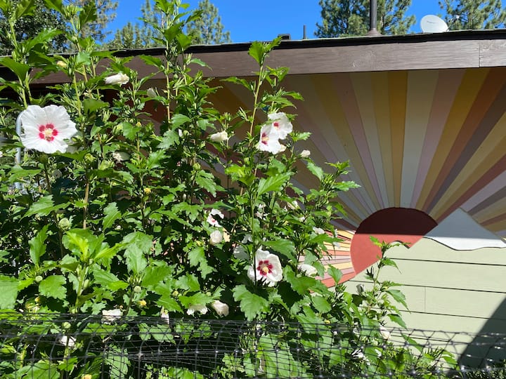 Jardín Del Sol
Country Getaway On 20 Acres - Brooks Memorial State Park, Goldendale