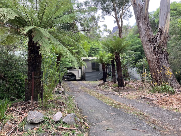 Ferntree House - Halls Gap