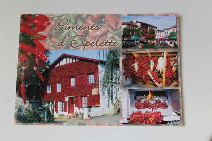 Appartement 85m2 Dans Corps De Ferme - Espelette