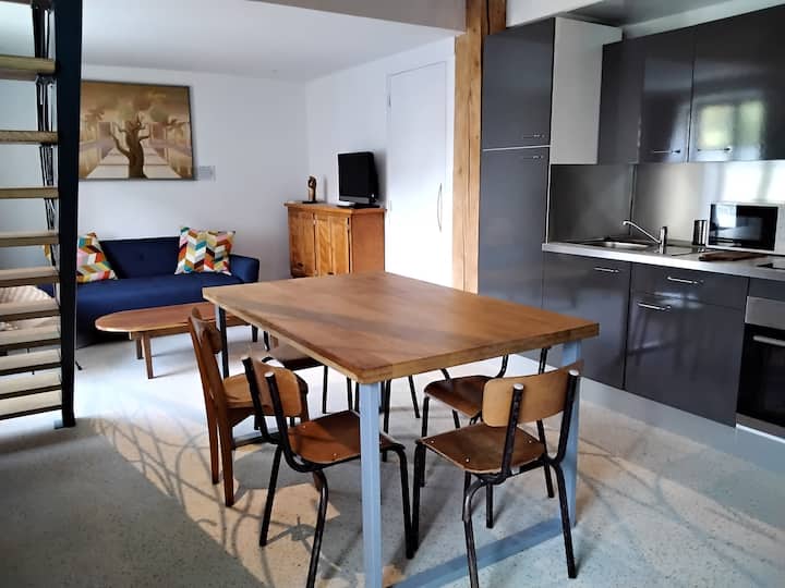 Gîte Le Loft Chez Judith Et Neiges - Charleville-Mézières