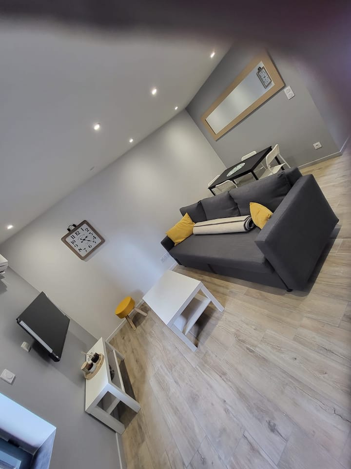 Appartement Cosy Spacieux 103 - Saint-Étienne