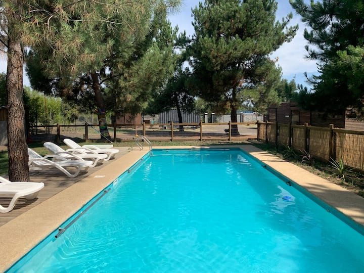 Pinea Lodge - Quillón