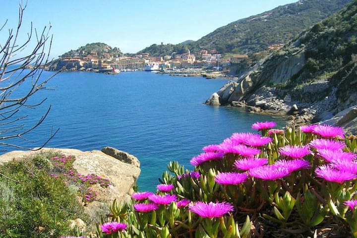 Al Castello Da Alice, 5 Posti Letto. - Isola del Giglio