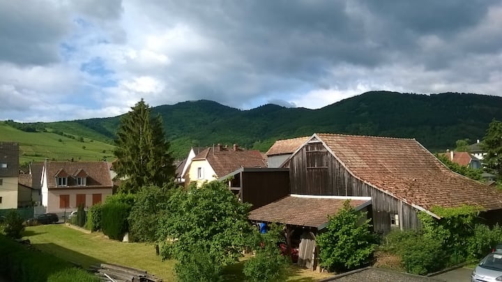 Studio Au Cœur Du Vignoble - Turckheim