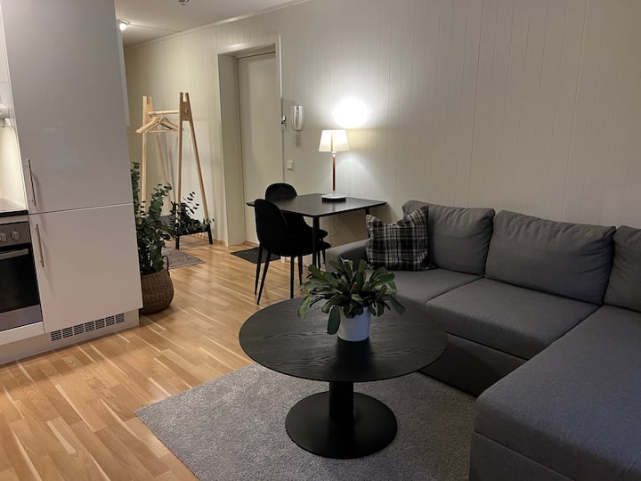 Leilighet I Sentrum - Tromsø