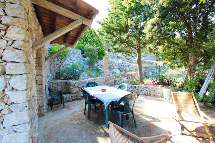 Tra Gli Ulivi 651 - Gagliano del Capo