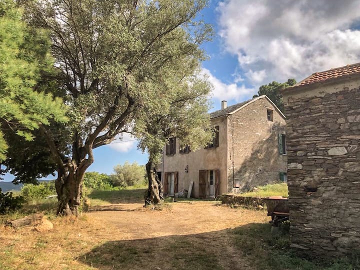 Maison Avec Vue Au Cap Corse - Centuri