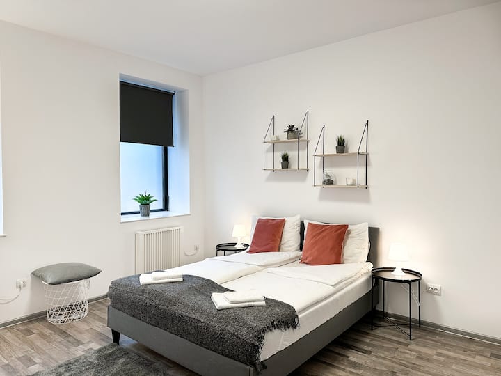 Comfy One Bedroom Apartment - Viena