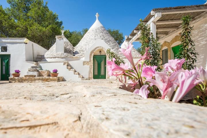 Il Trullo Dell'ulivo Bianco - Apulia