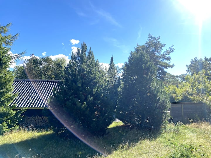 Natur, Strand Og Ro Findes Her. - Dänemark