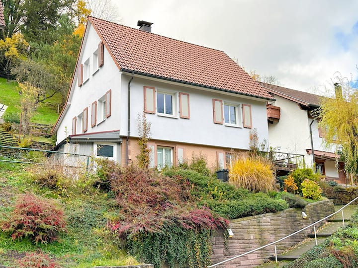 For Free: 80 Tourist Highlights & Train Tickets - Schiltach